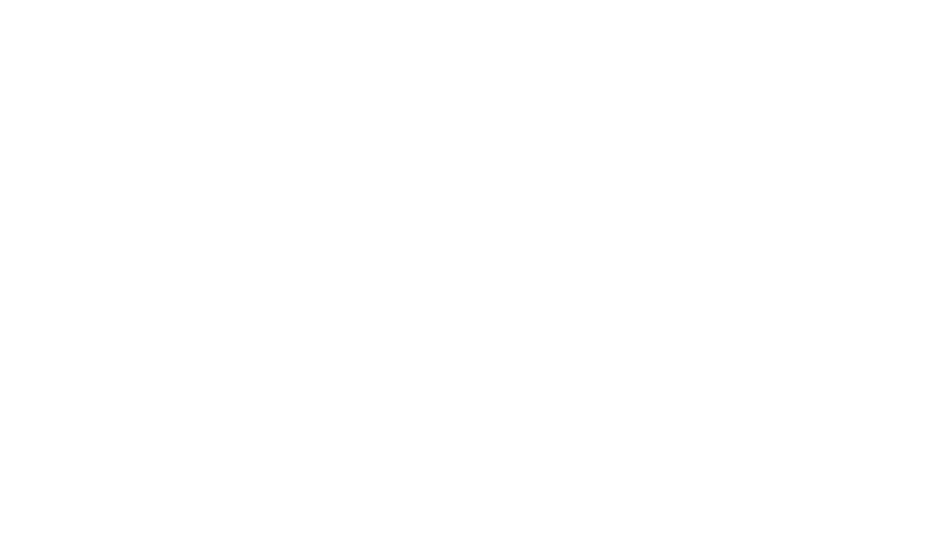 Festari Group Ltd - Innovating Africa’s Future